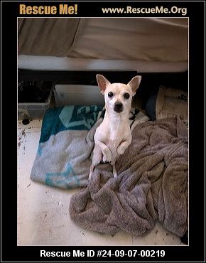 - Oregon Dog Rescue - ADOPTIONS - Rescue Me!