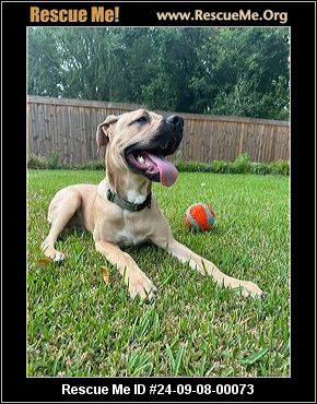- South Carolina Dog Rescue - ADOPTIONS - Rescue Me!