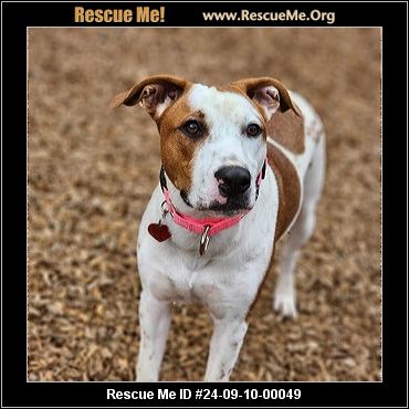 - Oregon Dog Rescue - ADOPTIONS - Rescue Me!