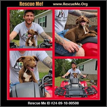 - Mercy Rescue Haven - SC - AVAILABLE PETS