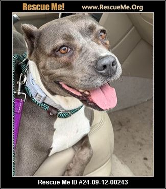 - South Carolina Dog Rescue - ADOPTIONS - Rescue Me!