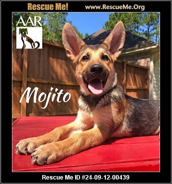 - Texas Dog Rescue - ADOPTIONS - Rescue Me!