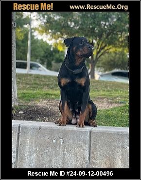 - Texas Rottweiler Rescue - ADOPTIONS - Rescue Me!