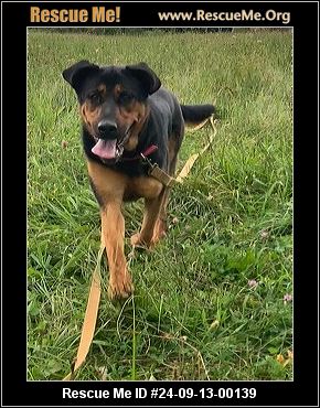 - New York Dog Rescue - ADOPTIONS - Rescue Me!