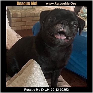 - Texas Dog Rescue - ADOPTIONS - Rescue Me!