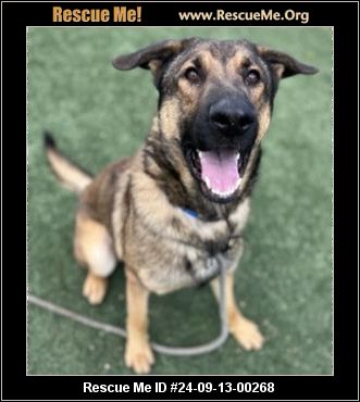 - Oregon Dog Rescue - ADOPTIONS - Rescue Me!