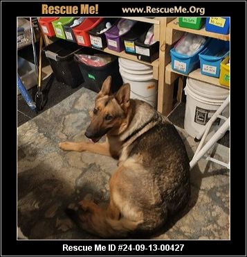 - Kentucky Dog Rescue - ADOPTIONS - Rescue Me!