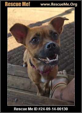 - Oregon Dog Rescue - ADOPTIONS - Rescue Me!