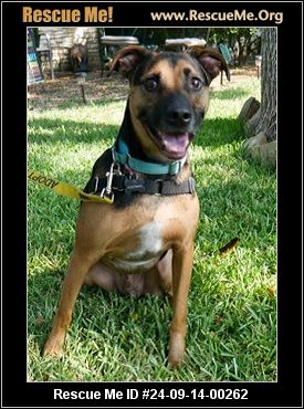 - Texas Dog Rescue - ADOPTIONS - Rescue Me!