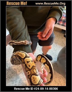 - Washington Reptile/Amphibian Rescue - ADOPTIONS - Rescue Me!