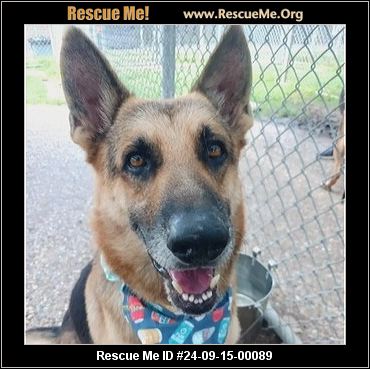 - Michigan Dog Rescue - ADOPTIONS - Rescue Me!