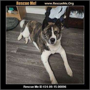 - Nebraska Dog Rescue - ADOPTIONS - Rescue Me!
