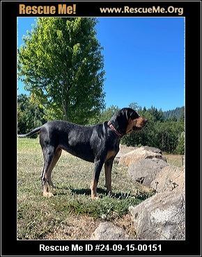 - Oregon Dog Rescue - ADOPTIONS - Rescue Me!