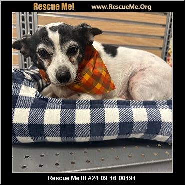 - Oregon Dog Rescue - ADOPTIONS - Rescue Me!