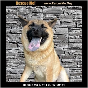 - Pennsylvania Dog Rescue - ADOPTIONS - Rescue Me!