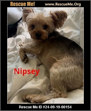 - Oklahoma Dog Rescue - ADOPTIONS - Rescue Me!