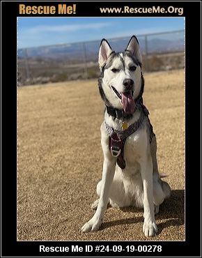 - Nevada Dog Rescue - ADOPTIONS - Rescue Me!