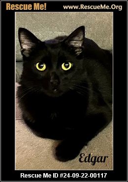 - Wisconsin Cat Rescue - ADOPTIONS - Rescue Me!