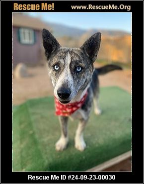 - California Corgi Rescue - ADOPTIONS - Rescue Me!