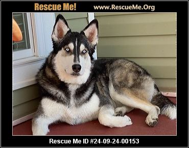 - West Virginia Dog Rescue - ADOPTIONS - Rescue Me!