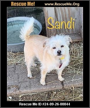 - Minnesota Dog Rescue - ADOPTIONS - Rescue Me!