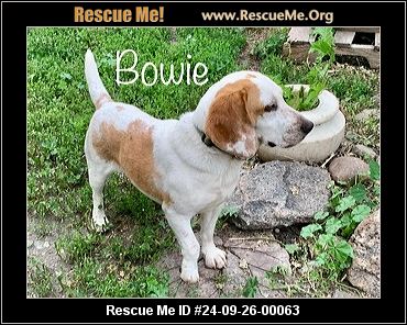 - Minnesota Dog Rescue - ADOPTIONS - Rescue Me!