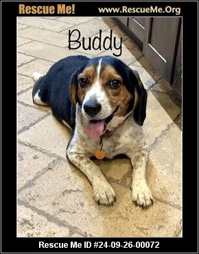 - Minnesota Dog Rescue - ADOPTIONS - Rescue Me!