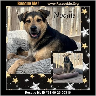 - Texas German Shepherd Rescue - ADOPTIONS - Rescue Me!