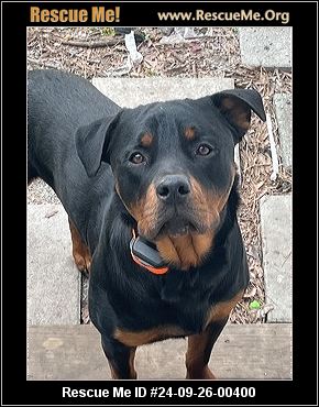 - Virginia Rottweiler Rescue - ADOPTIONS - Rescue Me!