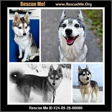 - Massachusetts Mutt Rescue - ADOPTIONS - Rescue Me!