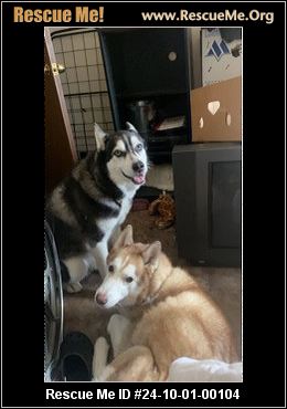 - West Virginia Dog Rescue - ADOPTIONS - Rescue Me!