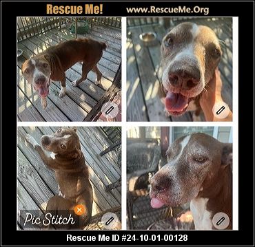 - Texas Boxer Rescue - ADOPTIONS - Rescue Me!