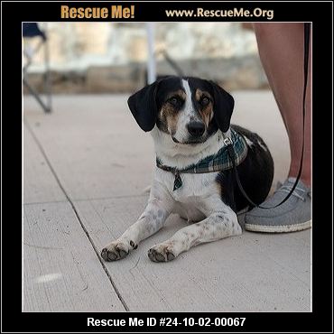 - Kansas Dog Rescue - ADOPTIONS - Rescue Me!