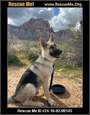 - Nevada Dog Rescue - ADOPTIONS - Rescue Me!
