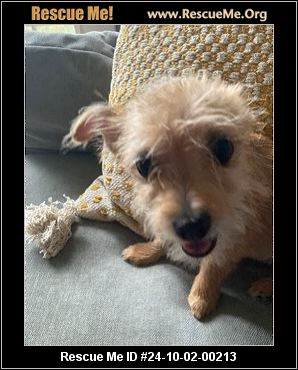 - Pennsylvania Dog Rescue - ADOPTIONS - Rescue Me!