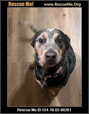 - Wisconsin Dog Rescue - ADOPTIONS - Rescue Me!