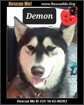 - South Dakota Dog Rescue - ADOPTIONS - Rescue Me!