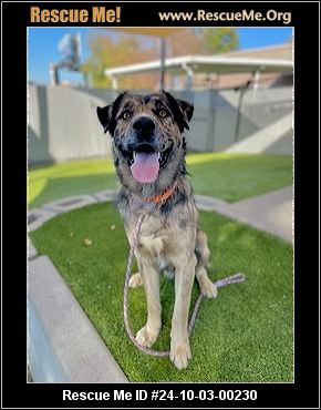 - Utah Dog Rescue - ADOPTIONS - Rescue Me!