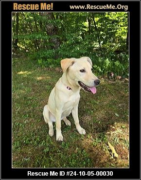 - West Virginia Dog Rescue - ADOPTIONS - Rescue Me!