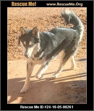 - New Mexico Dog Rescue - ADOPTIONS - Rescue Me!