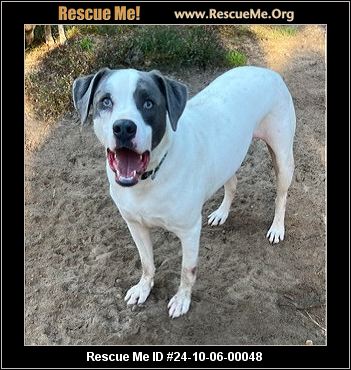 - Wisconsin Dog Rescue - ADOPTIONS - Rescue Me!