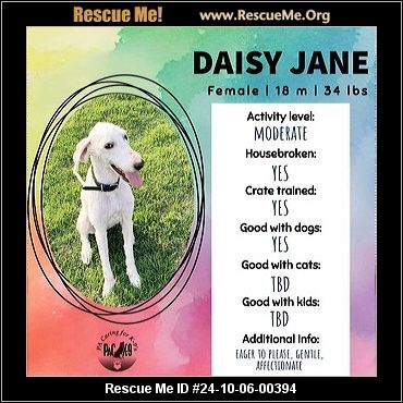 - Pennsylvania Poodle Rescue - ADOPTIONS - Rescue Me!