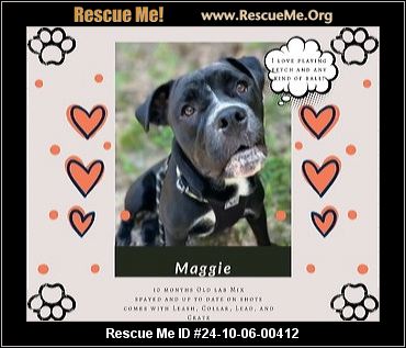 - Missouri Dog Rescue - ADOPTIONS - Rescue Me!