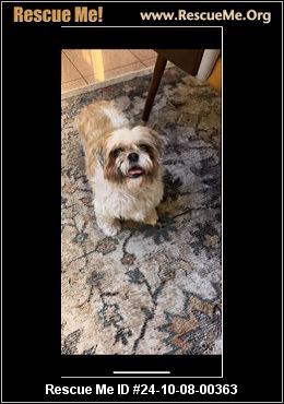 - Rhode Island Dog Rescue - ADOPTIONS - Rescue Me!