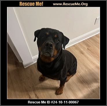 - Texas Rottweiler Rescue - ADOPTIONS - Rescue Me!