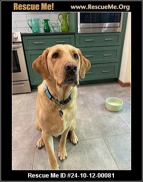 - West Virginia Dog Rescue - ADOPTIONS - Rescue Me!