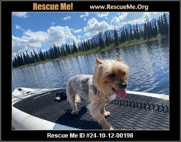 - Alaska Dog Rescue - ADOPTIONS - Rescue Me!