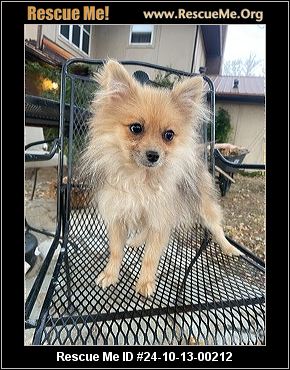 - Oklahoma Dog Rescue - ADOPTIONS - Rescue Me!