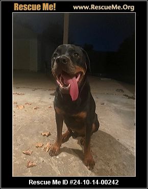 - Texas Rottweiler Rescue - ADOPTIONS - Rescue Me!