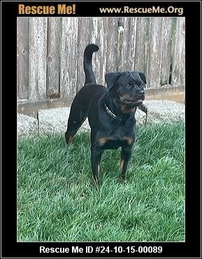 - Oregon Rottweiler Rescue - ADOPTIONS - Rescue Me!